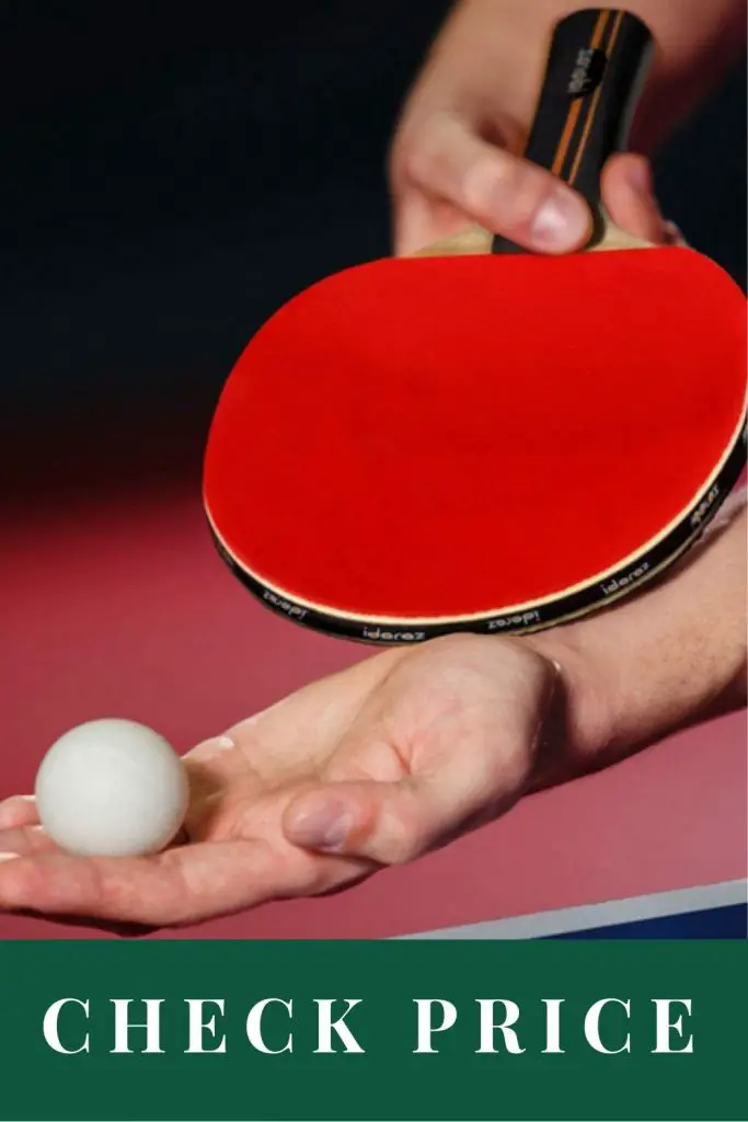 14 Best Ping Pong Paddles [ Expert Reviews & Buyers Guide 2022 ]